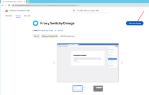 Hướng dẫn thiết lập và sử dụng proxy trong SwitchyOmega - VPSTTT